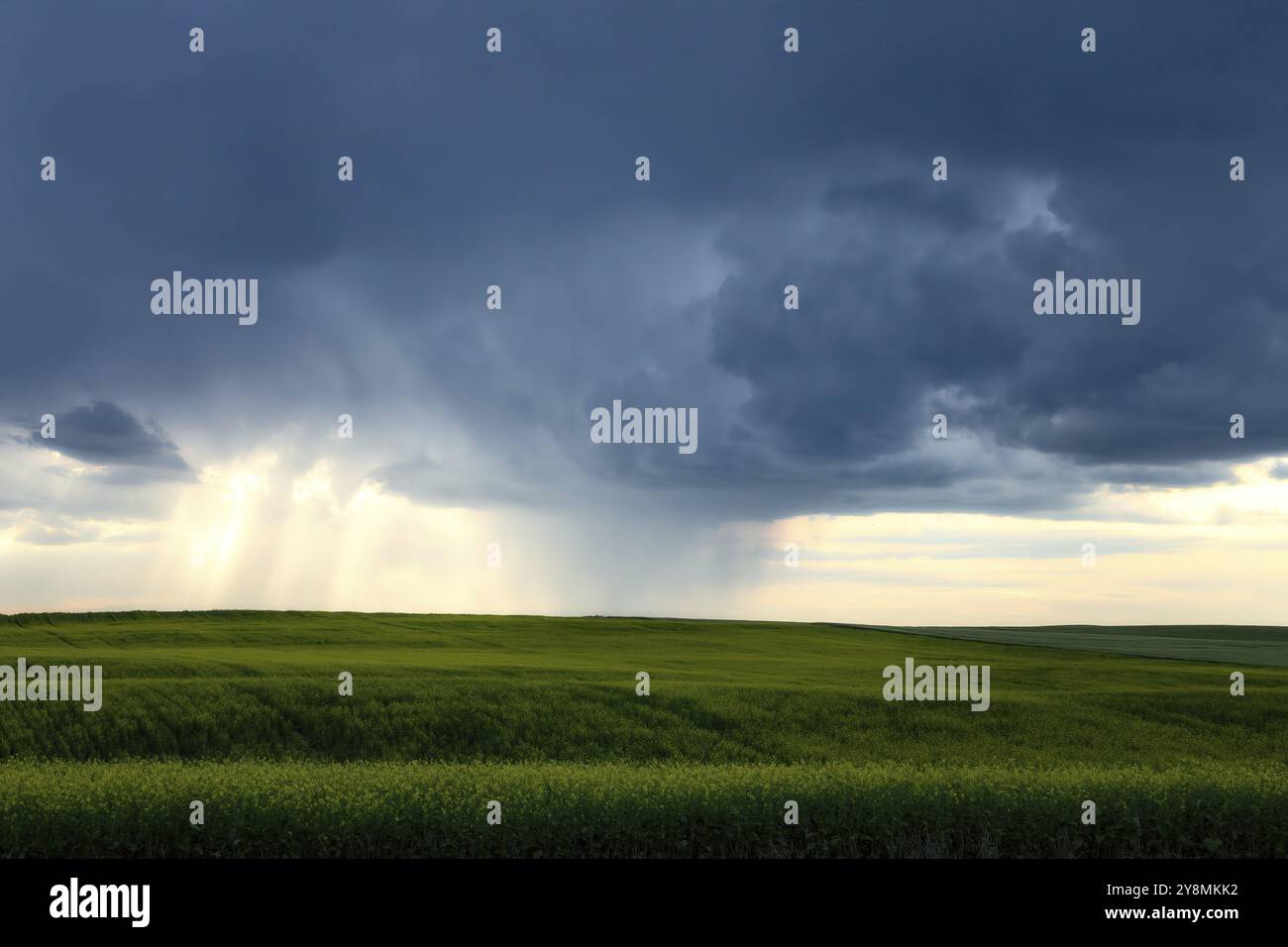 Summer Storms in the Canadian Prairies Dramatic Scenes Stock Photo - Alamy