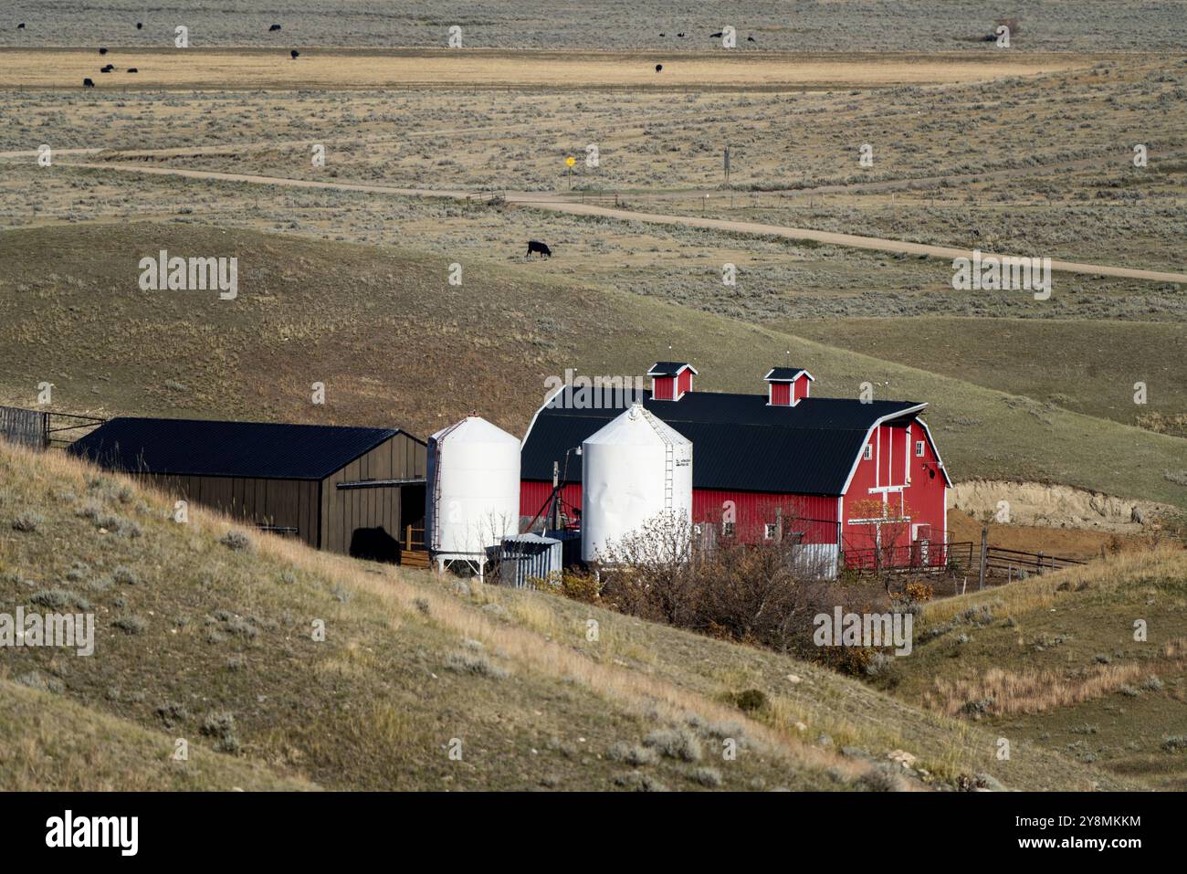 Prairie colors in fall ranch in badlands Canada Stock Photo - Alamy