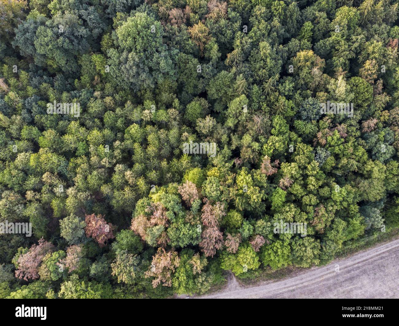 Aerial shot building in woods hi-res stock photography and images - Alamy