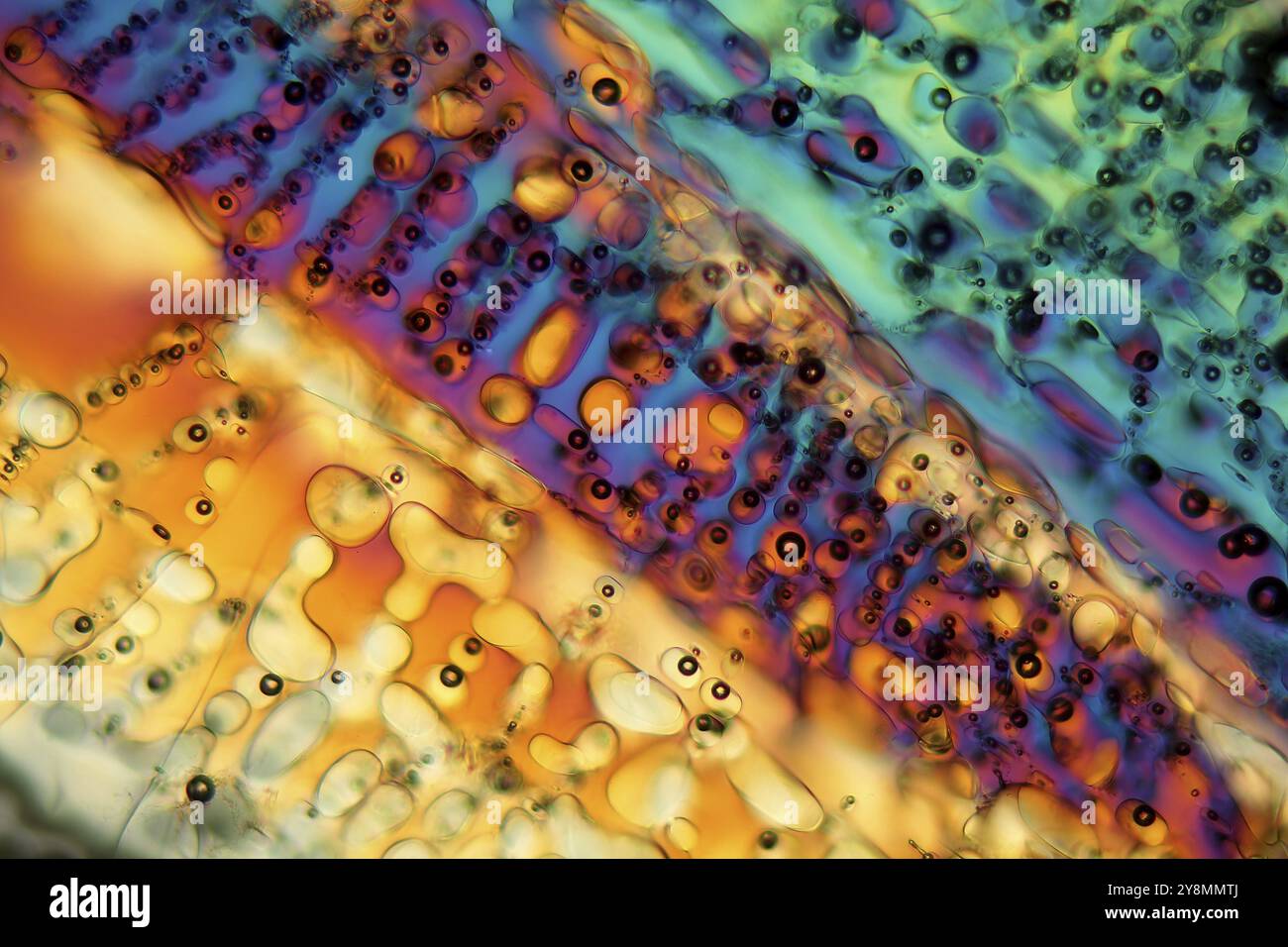 Ice crystals under the microscope and in polarised light (image width 0 ...