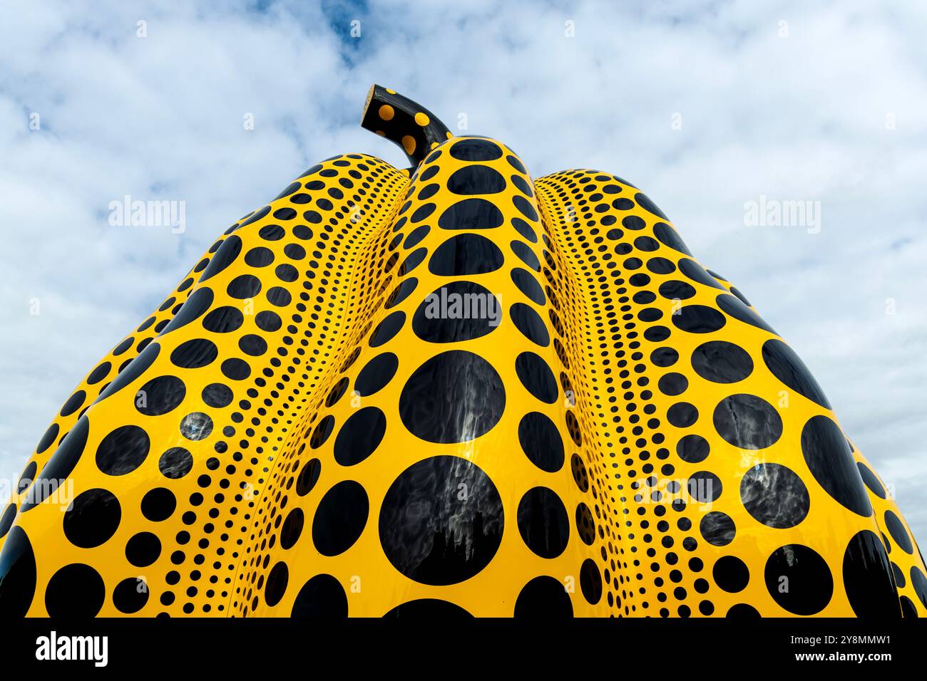 Yayoi Kusama Ausstellung 2024