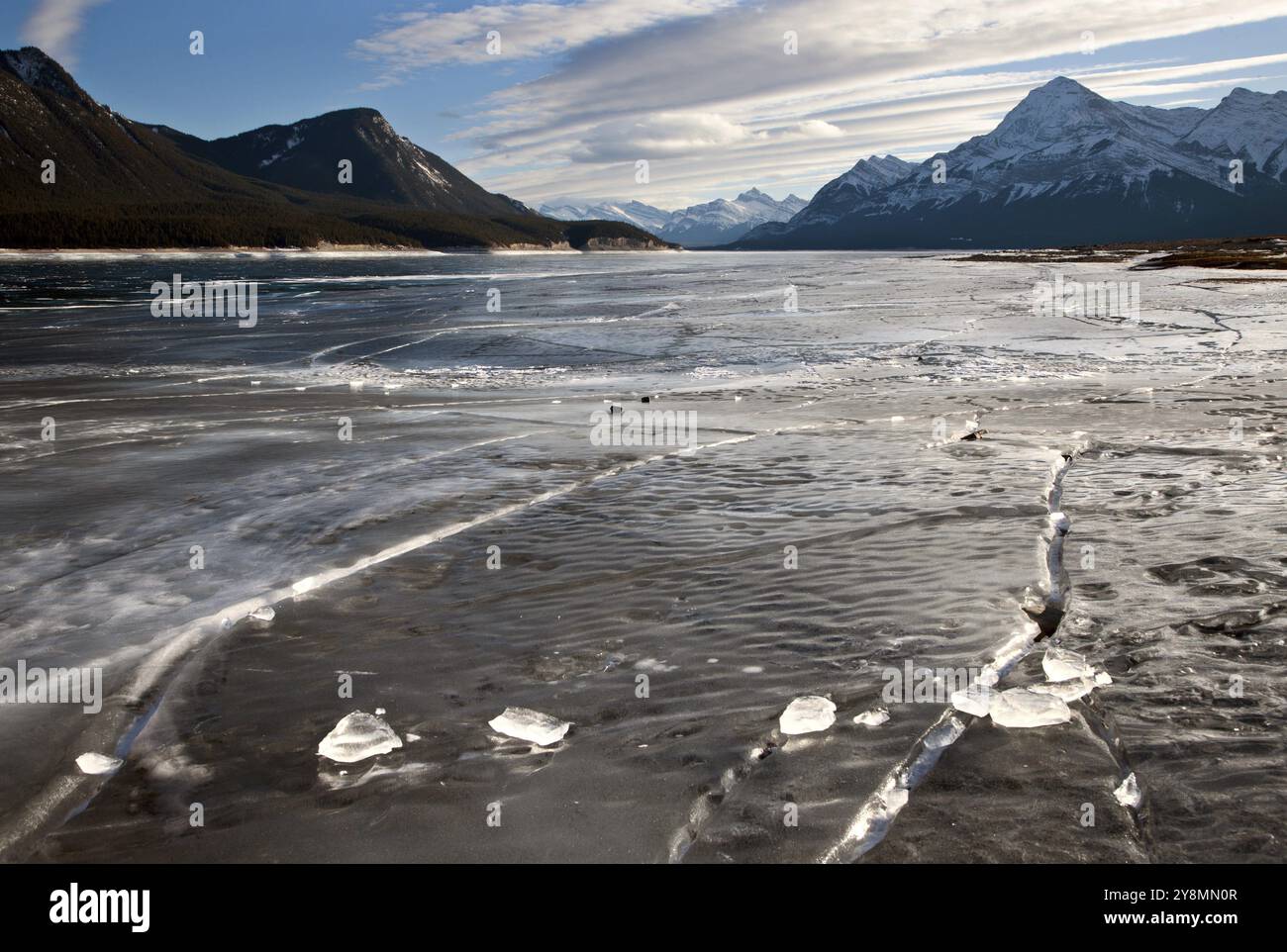 Abraham Lake Winter Ice formations bubbles design Stock Photo - Alamy