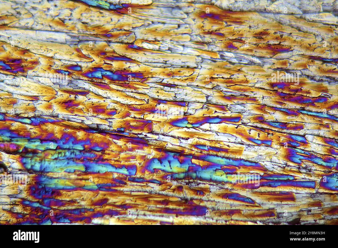 Copper sulphate under the microscope, at 80x magnification and in ...