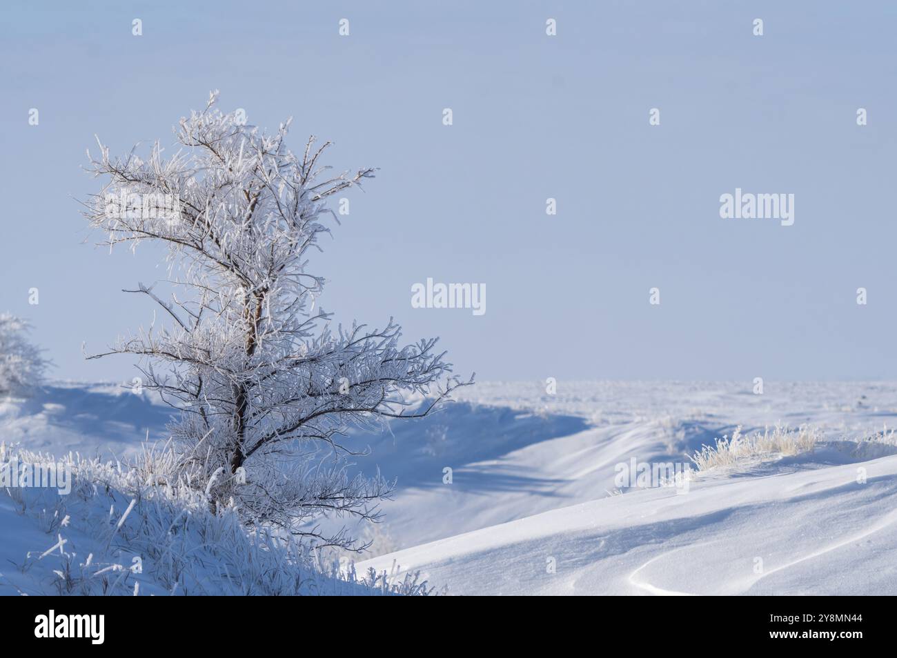 Blizzard [prairies winter storm] hi-res stock photography and images ...