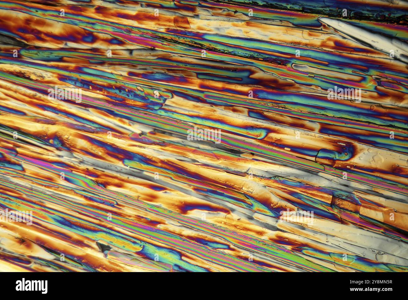 Salt crystals microscope hi-res stock photography and images - Alamy