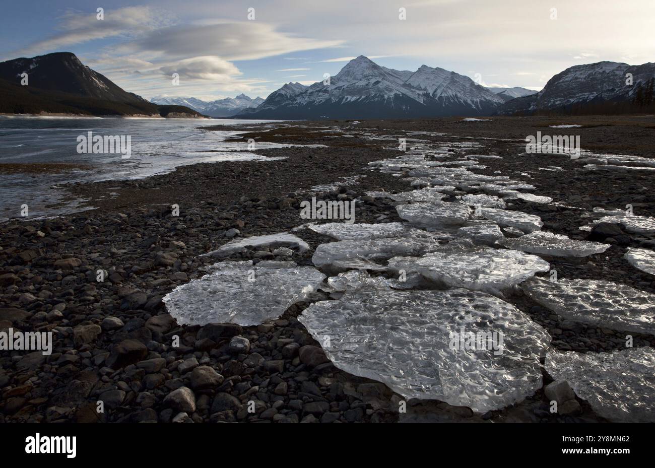 Abraham Lake Winter Ice formations bubbles design Stock Photo - Alamy