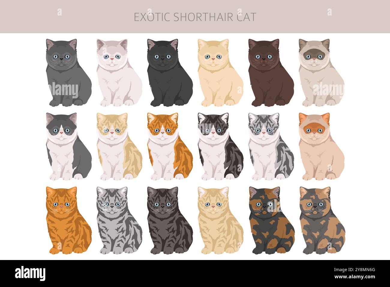 Exotic Shorthair Cat clipart. All coat colors set. All cat breeds ...