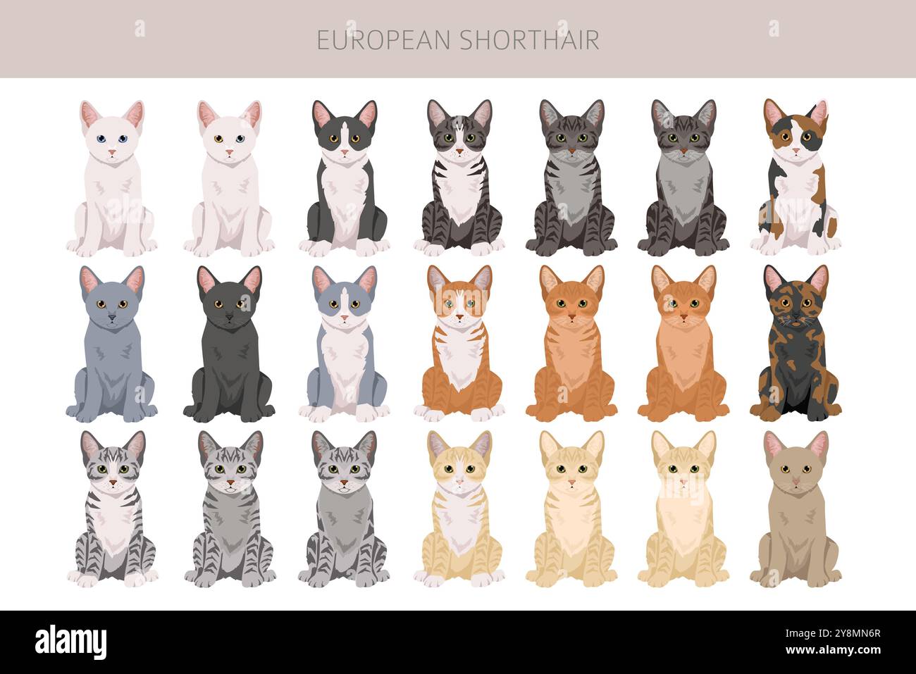 Cat breed colors chart hi-res stock photography and images - Alamy
