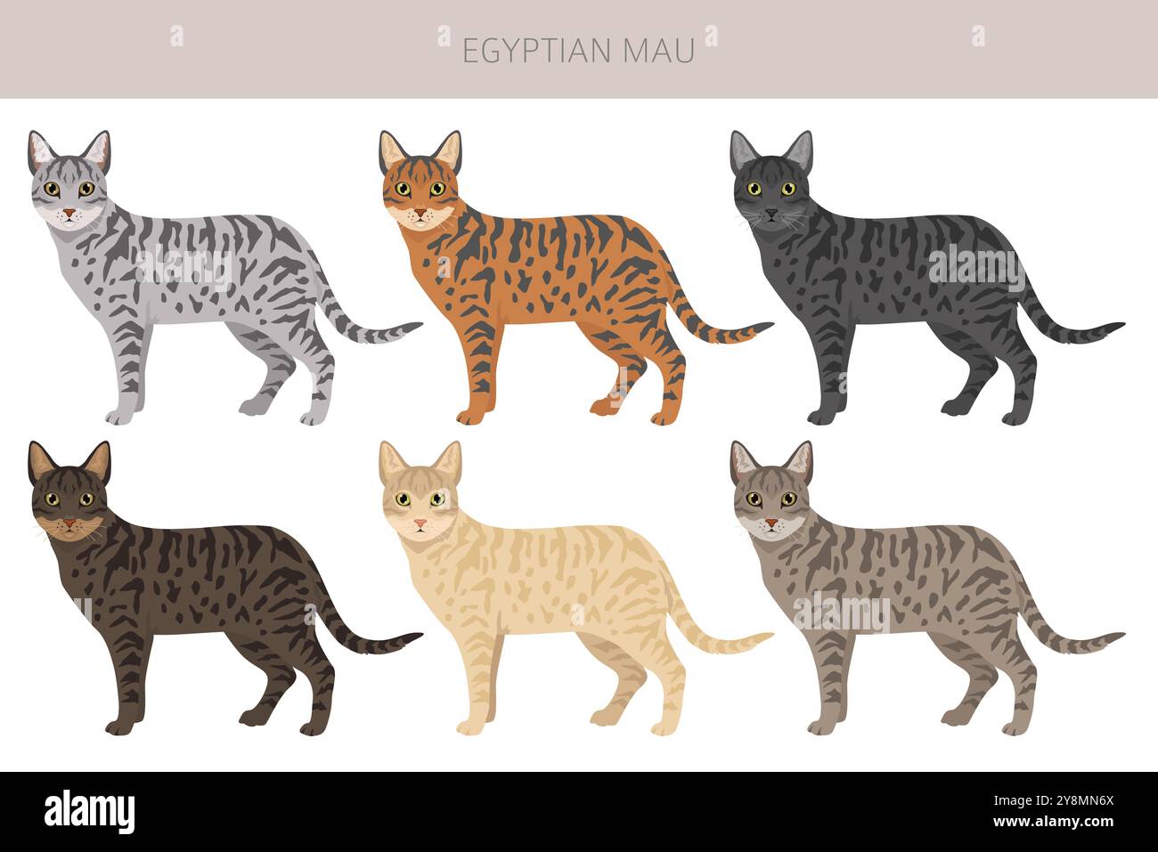Egyptian Mau Cat clipart. All coat colors set. All cat breeds ...