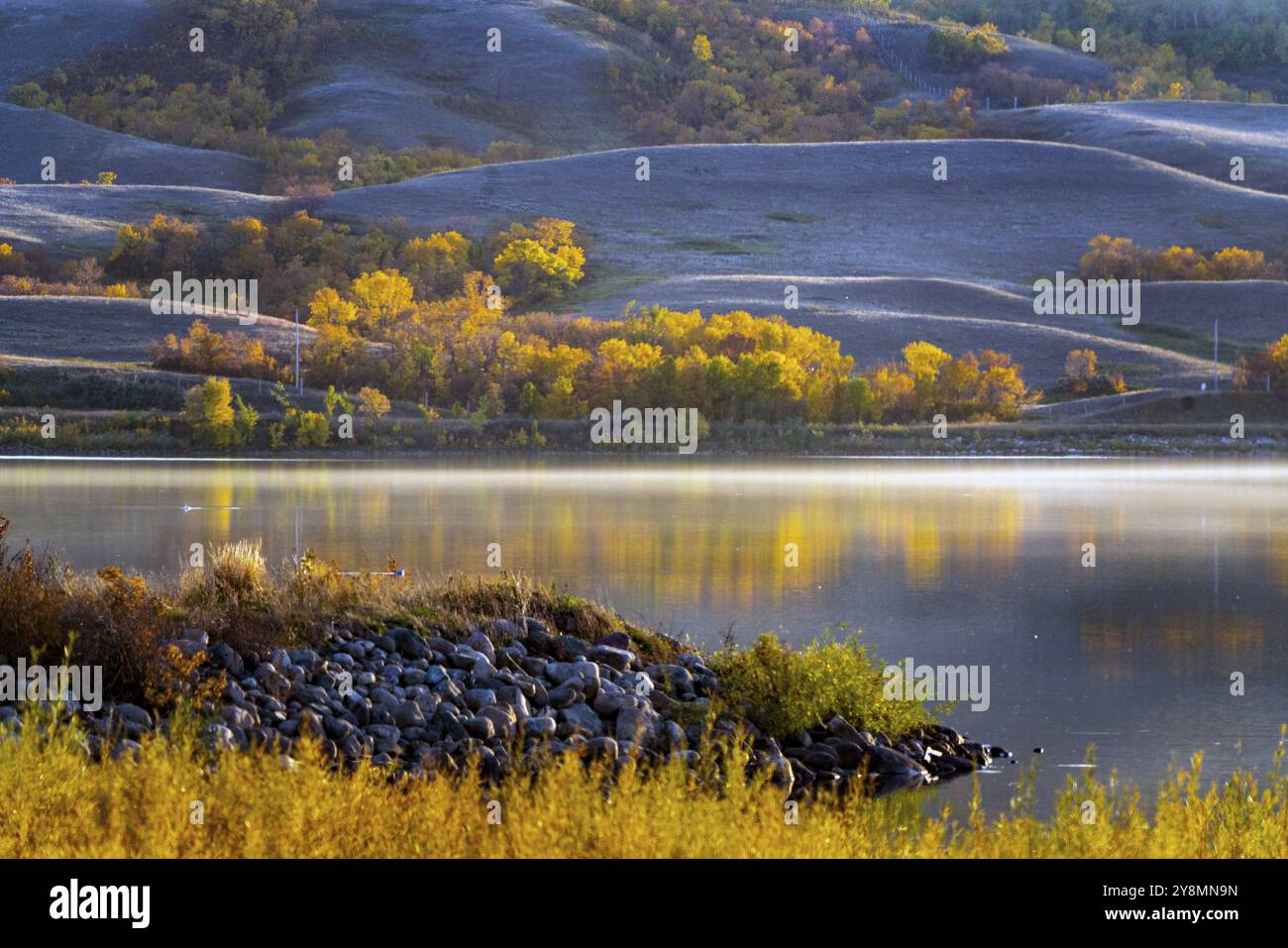 Fall foliage orange colors in the Canadian Prairies Stock Photo - Alamy