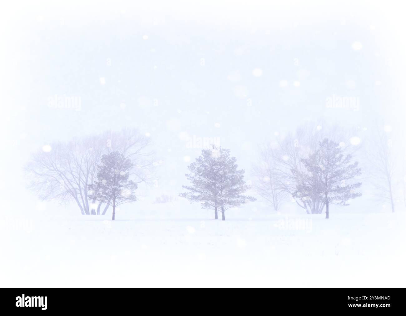 Winter snow scenes Cut Out Stock Images & Pictures - Alamy