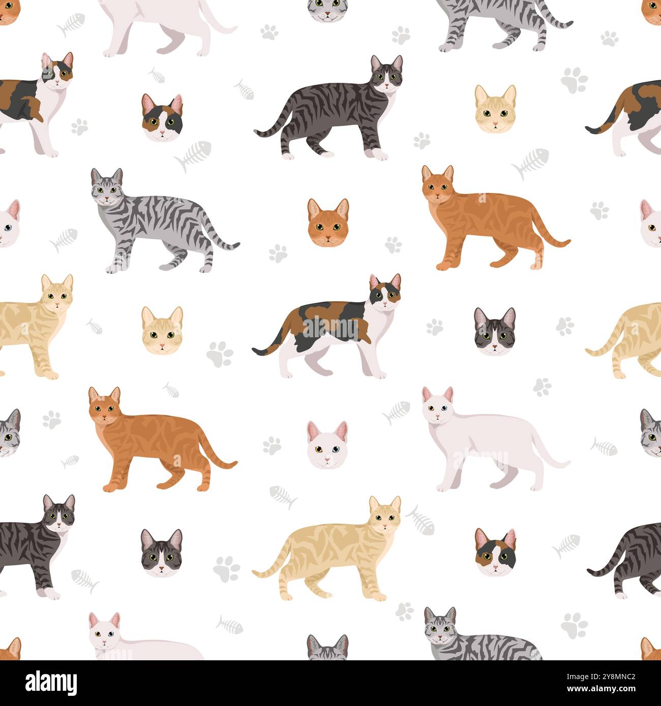 European Shorthair Cat seamless pattern. All coat colors set. All cat ...