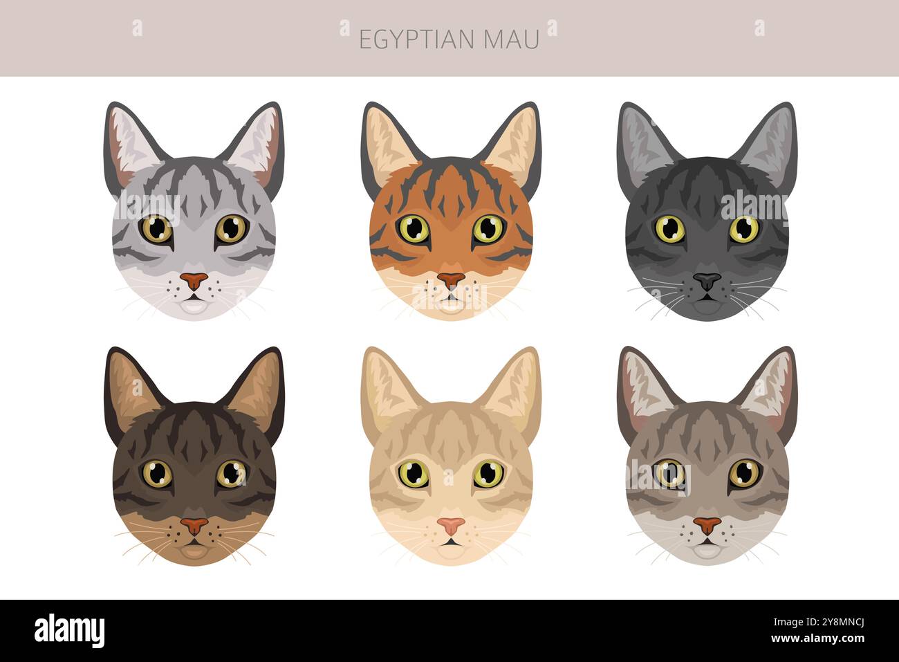 Egyptian Mau Cat clipart. All coat colors set. All cat breeds ...