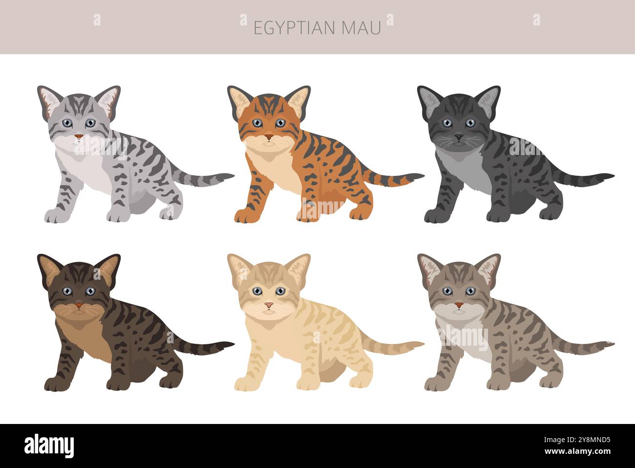 Egyptian Mau Cat clipart. All coat colors set. All cat breeds ...