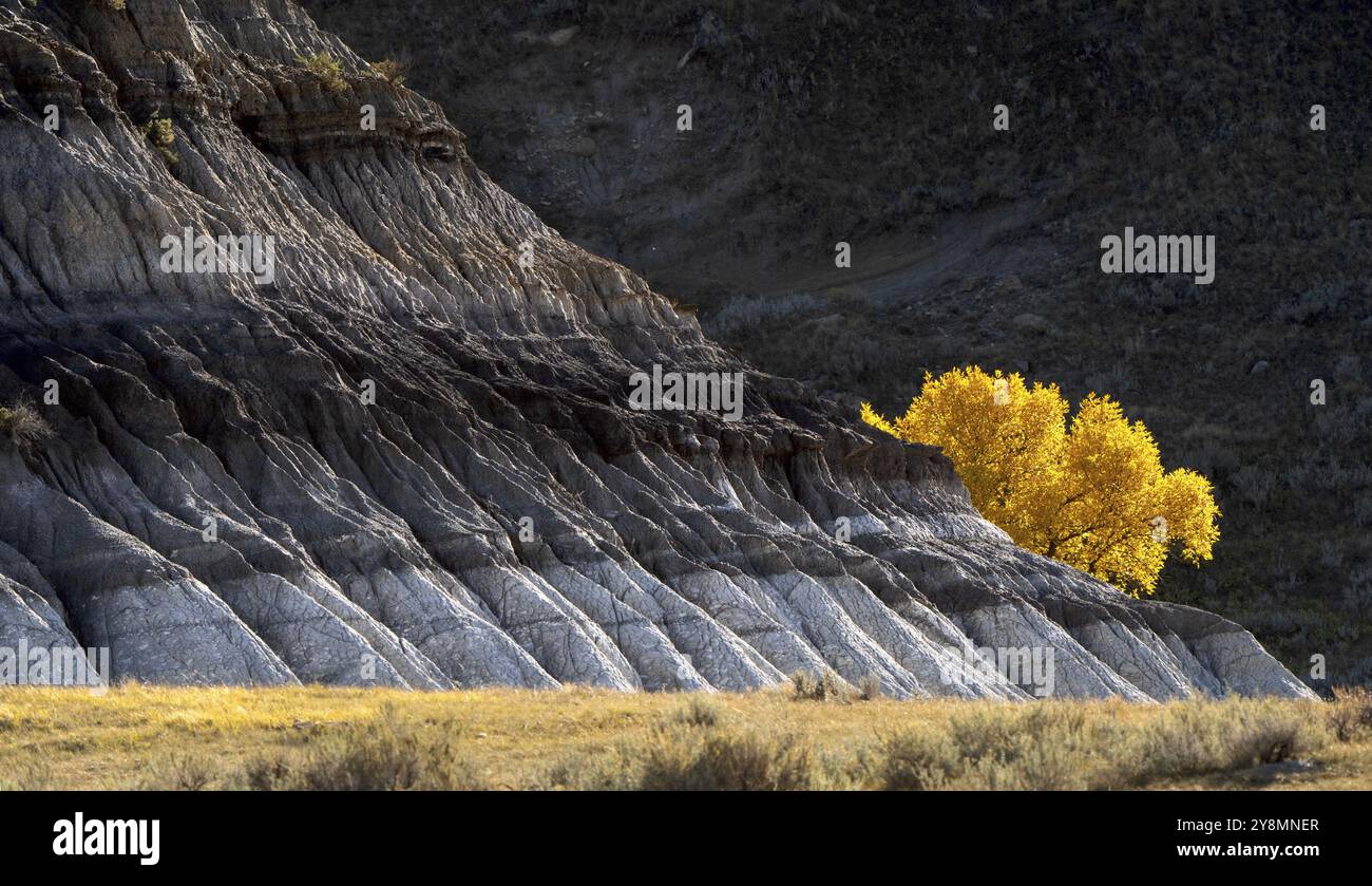 Prairie colors in fall yellow orange trees colorful Stock Photo - Alamy