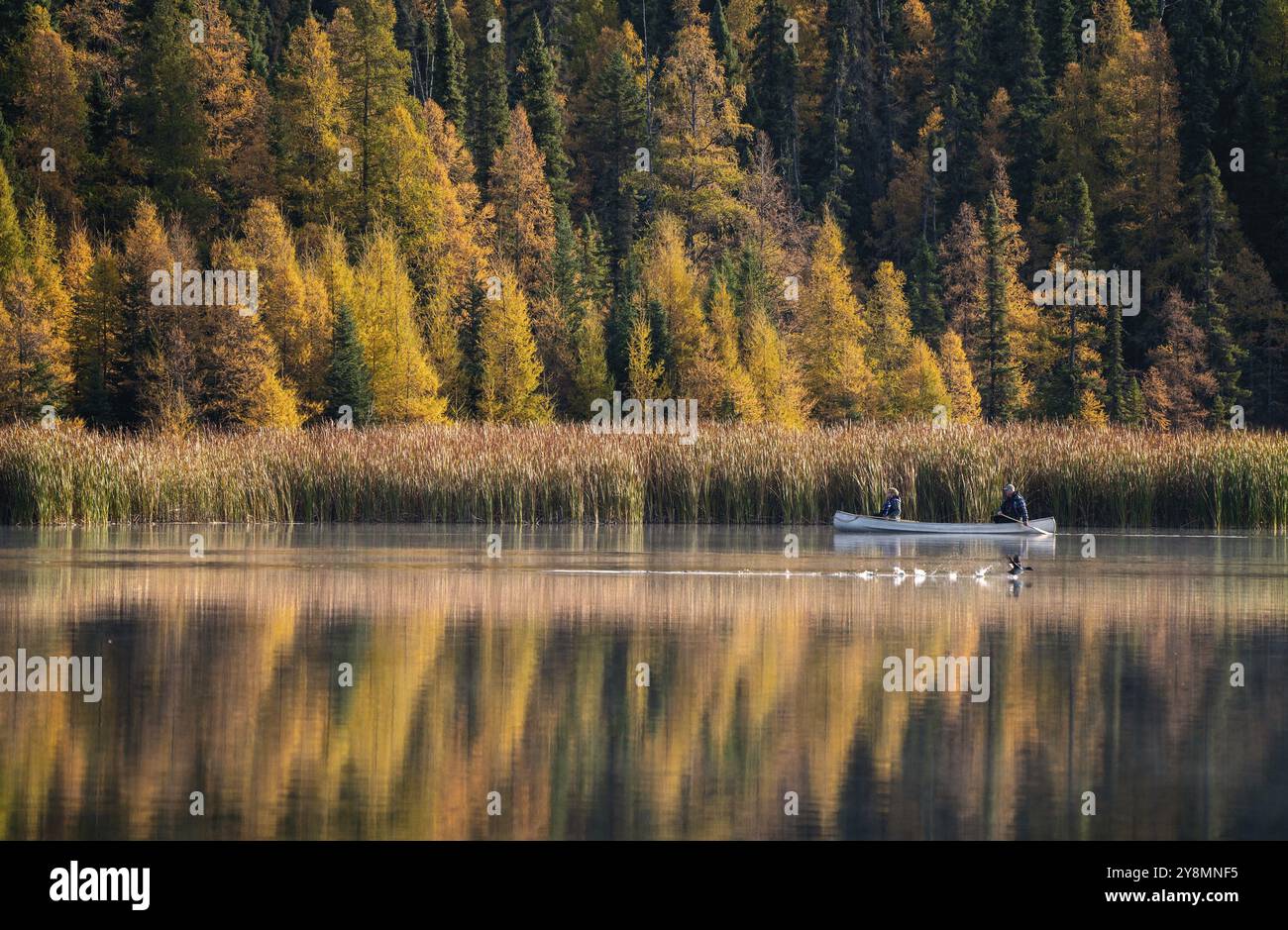 Prairie colors in fall yellow orange trees canoe calm Stock Photo - Alamy