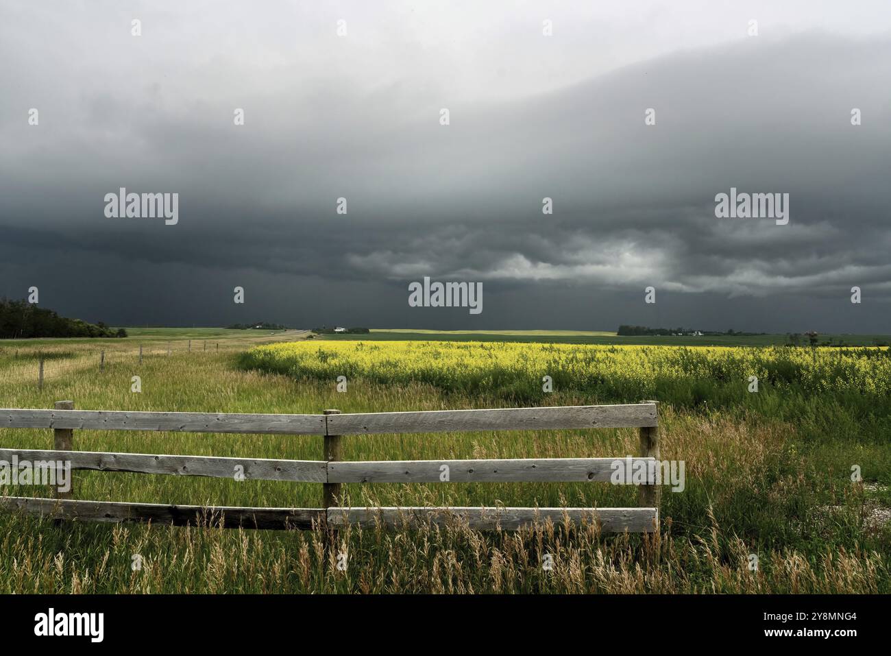 Summer Storms in the Canadian Prairies Dramatic Scenes Stock Photo - Alamy