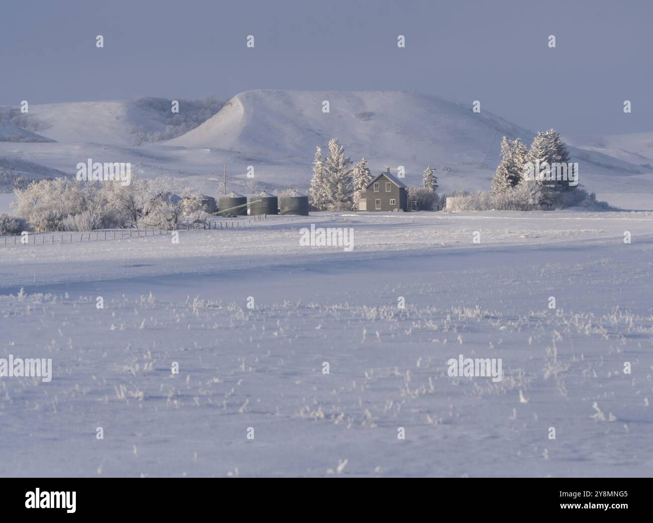 Blizzard [prairies winter storm] hi-res stock photography and images ...