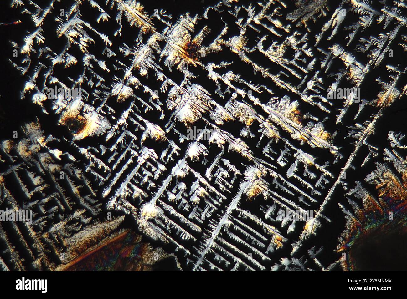 Paracetamol crystals under the microscope. The crystals have ...