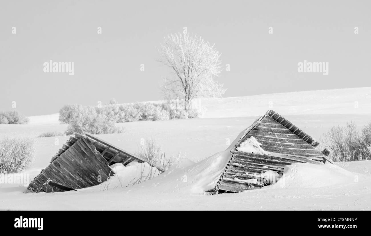 Blizzard [prairies winter storm] hi-res stock photography and images ...