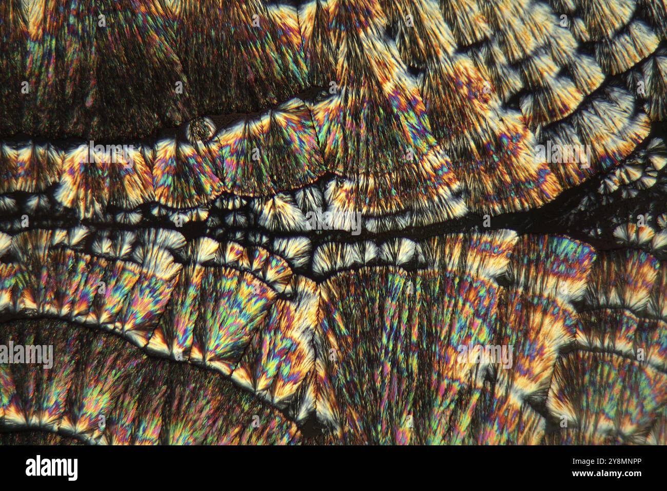 Vitamin C under the microscope and in polarised light Stock Photo - Alamy