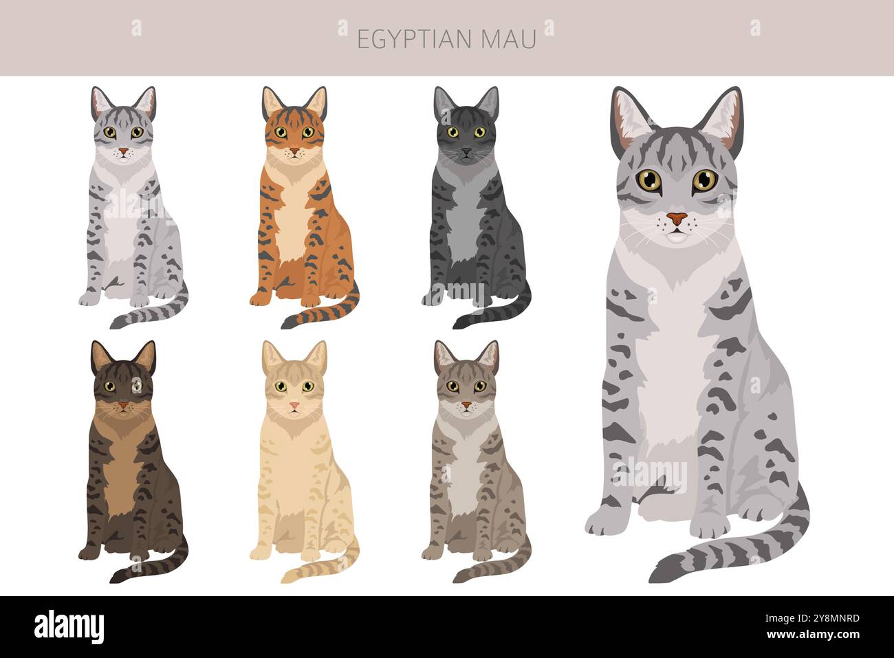 Egyptian Mau Cat clipart. All coat colors set. All cat breeds ...