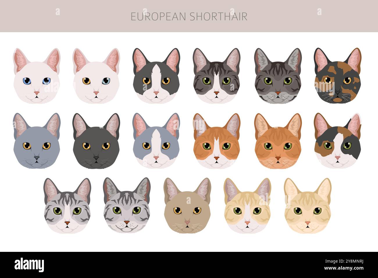 European Shorthair Cat clipart. All coat colors set. All cat breeds ...