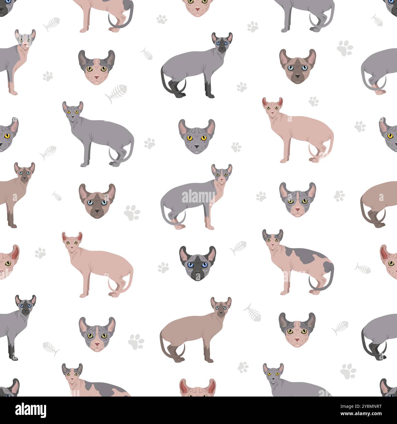 Elf Sphynx Cat seamless pattern. All coat colors set. All cat breeds ...