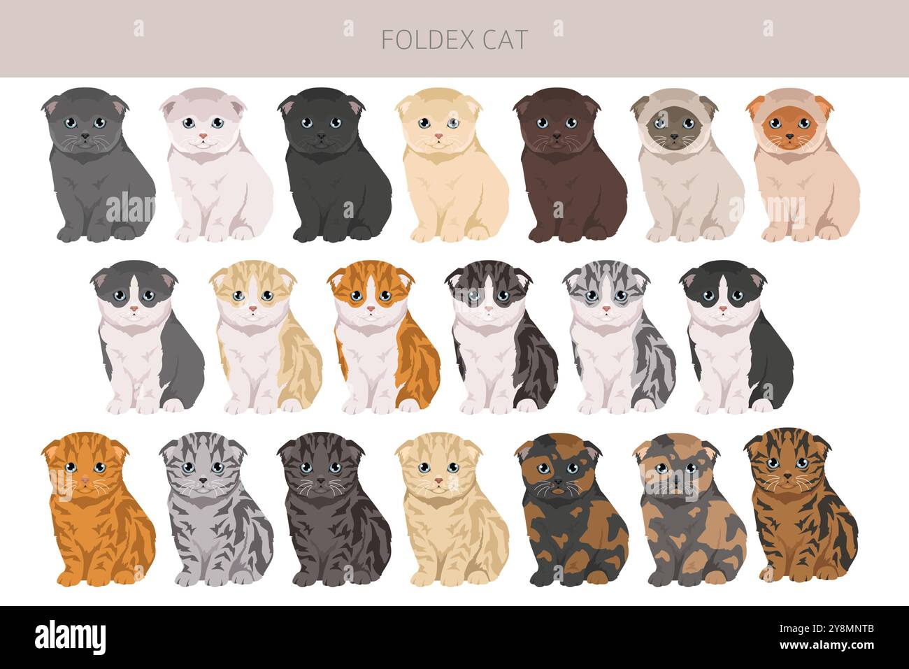 Foldex cat, Exotic Shorthair Cat clipart. All coat colors set. All cat ...