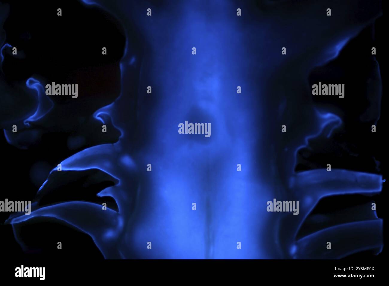 Luminol is a chemical used in forensics to detect traces of blood ...