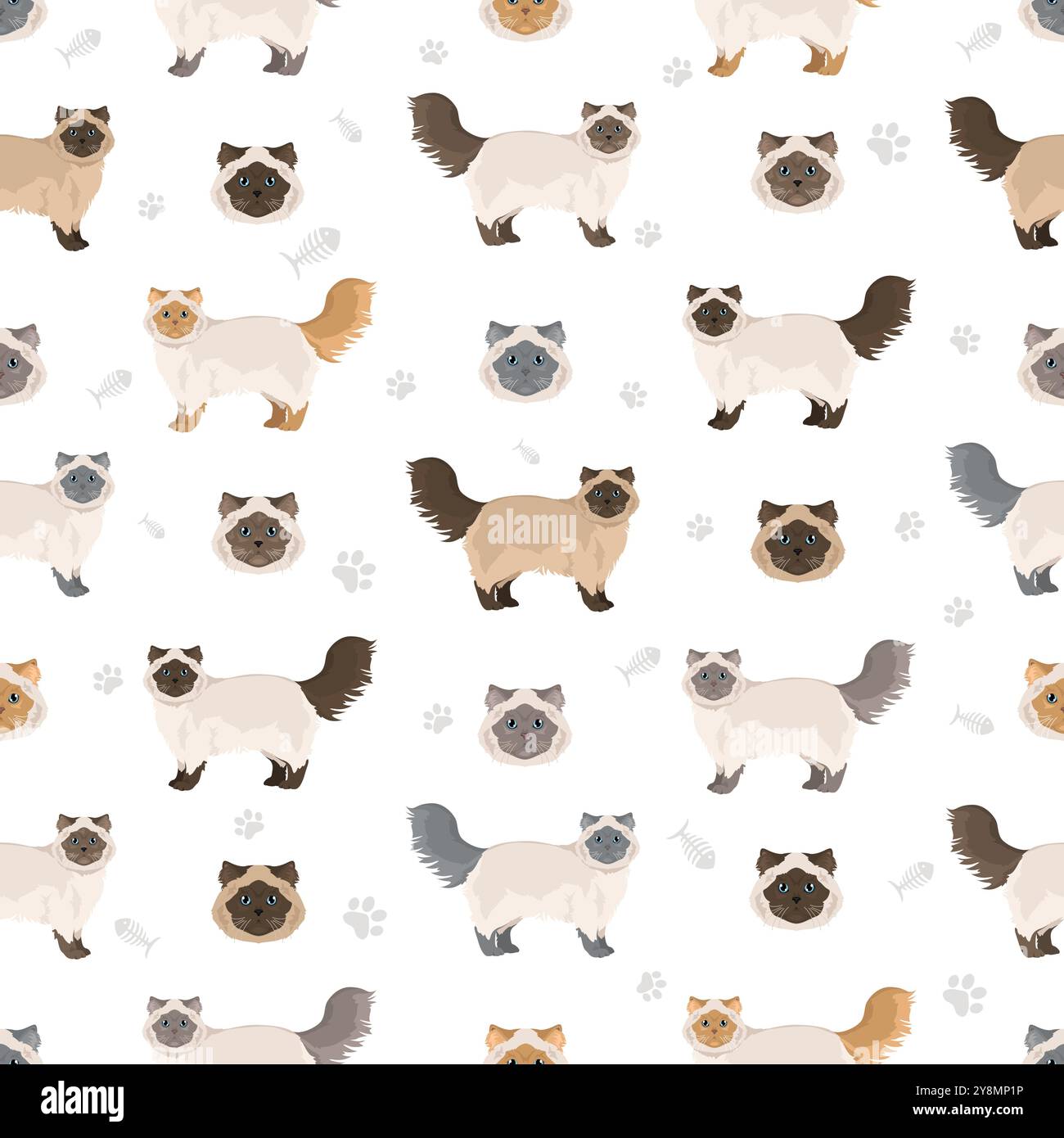 Himalayan Persian Cat seamless pattern. Traditional type. All coat ...