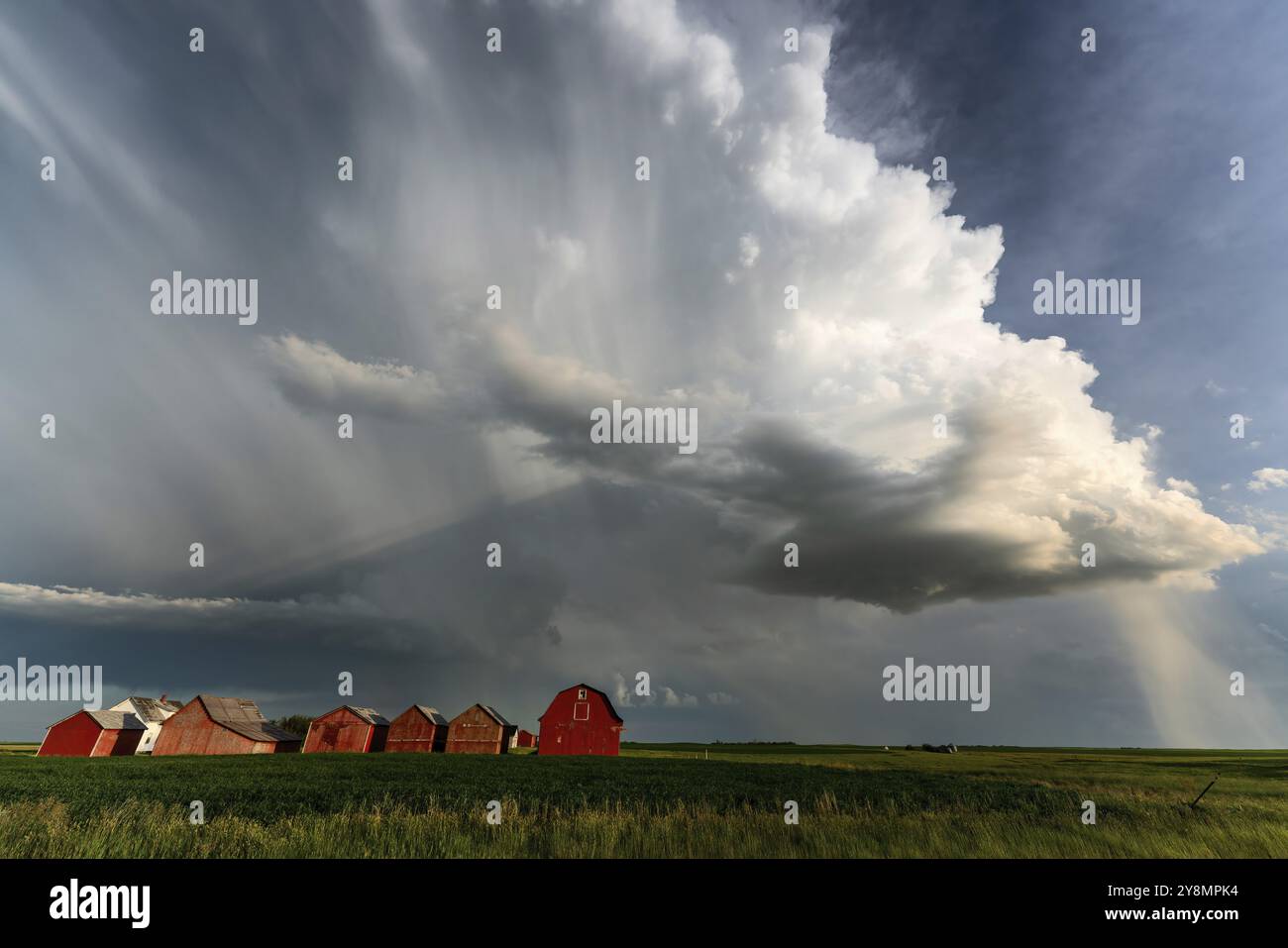 Summer Storms in the Canadian Prairies Dramatic Scenes Stock Photo - Alamy