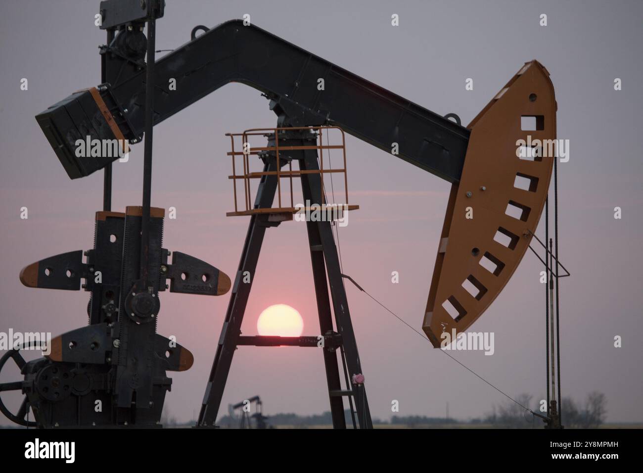 Crude insects hi-res stock photography and images - Alamy