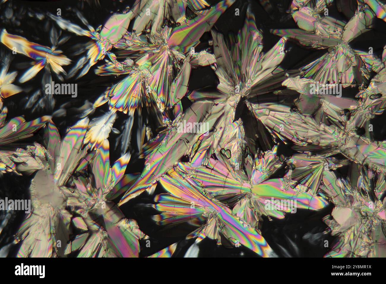 Malic acid under the microscope, Malic acid under the microscope ...