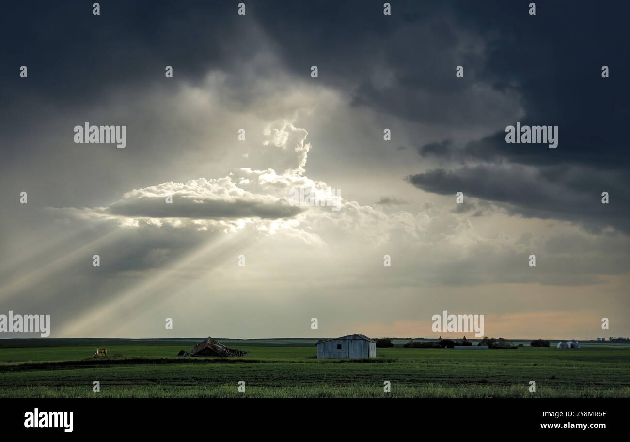Summer Storms in the Canadian Prairies Dramatic Scenes Stock Photo - Alamy