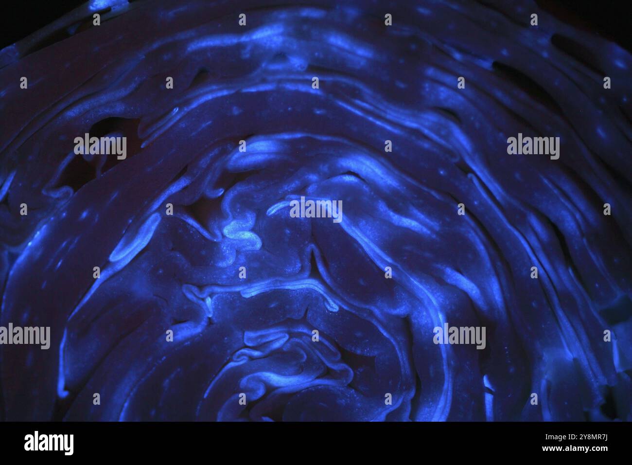 Luminol is a chemical used in forensics to detect traces of blood ...