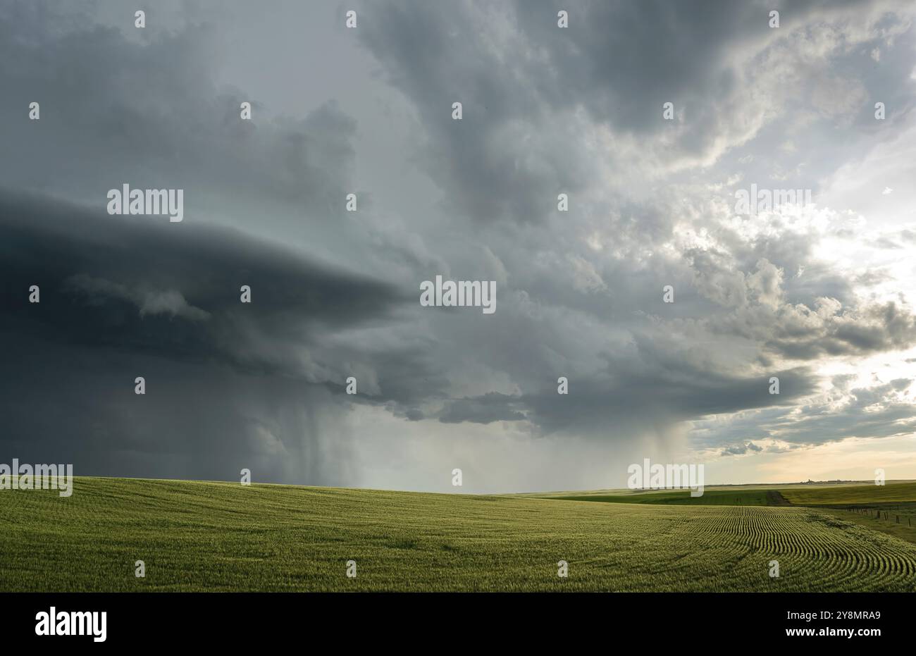 Summer Storms in the Canadian Prairies Dramatic Scenes Stock Photo - Alamy
