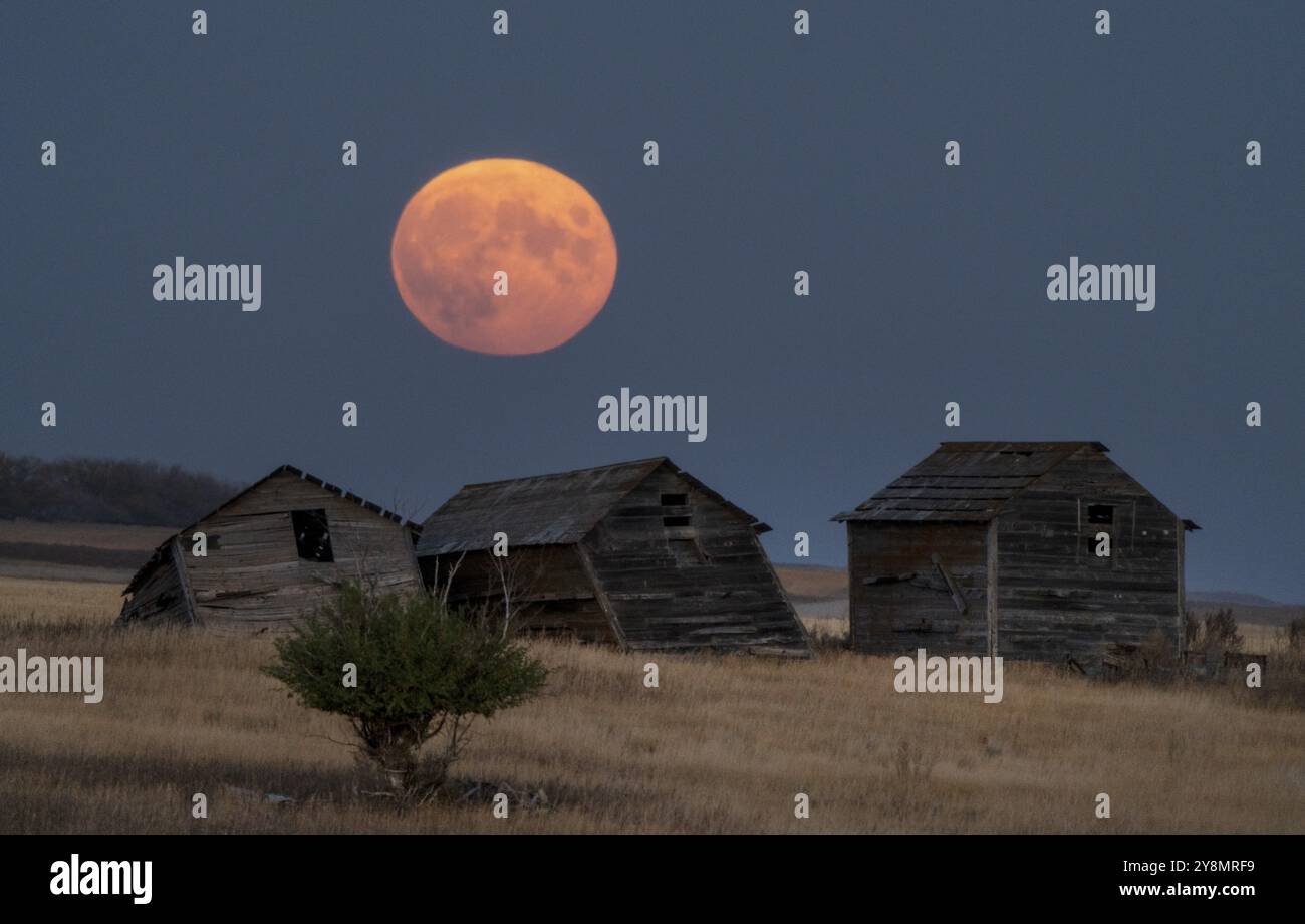 Full Moon Canada Rural Scene in Saskatchewan Canada Stock Photo - Alamy