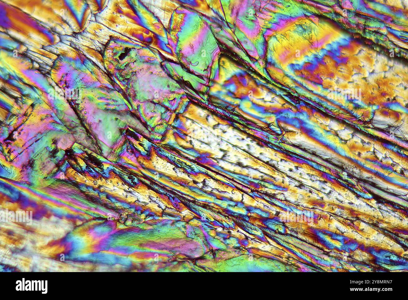 Copper sulphate under the microscope, at 80x magnification and in ...