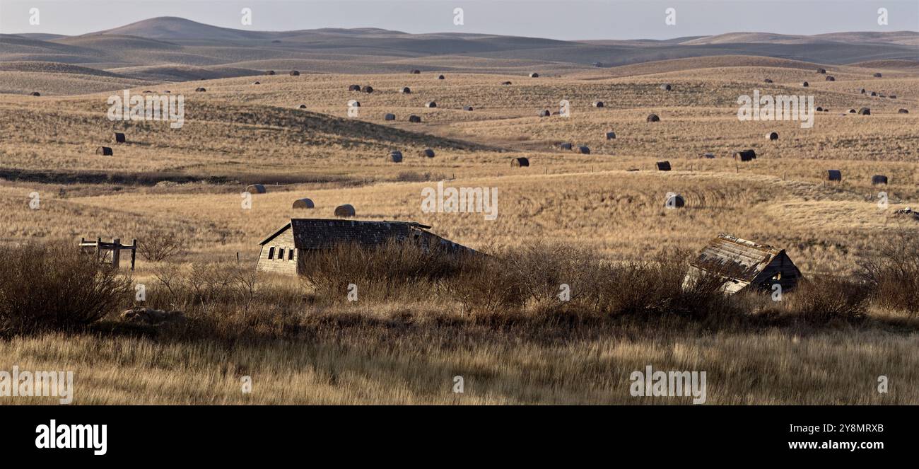Abandoned Fark Canada Saskatchewan prairie rolling hills Stock Photo ...
