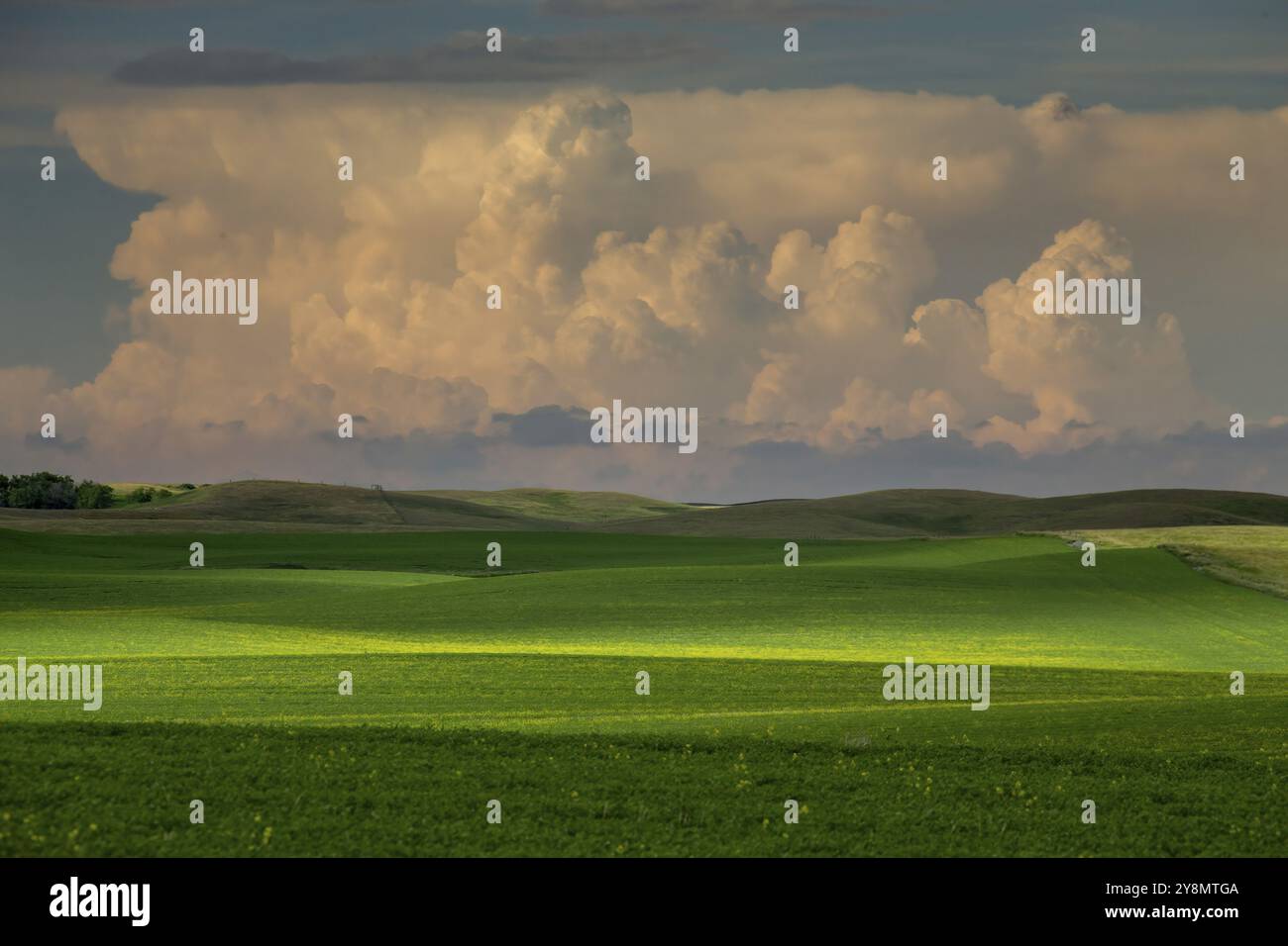 Summer Storms in the Canadian Prairies Dramatic Scenes Stock Photo - Alamy