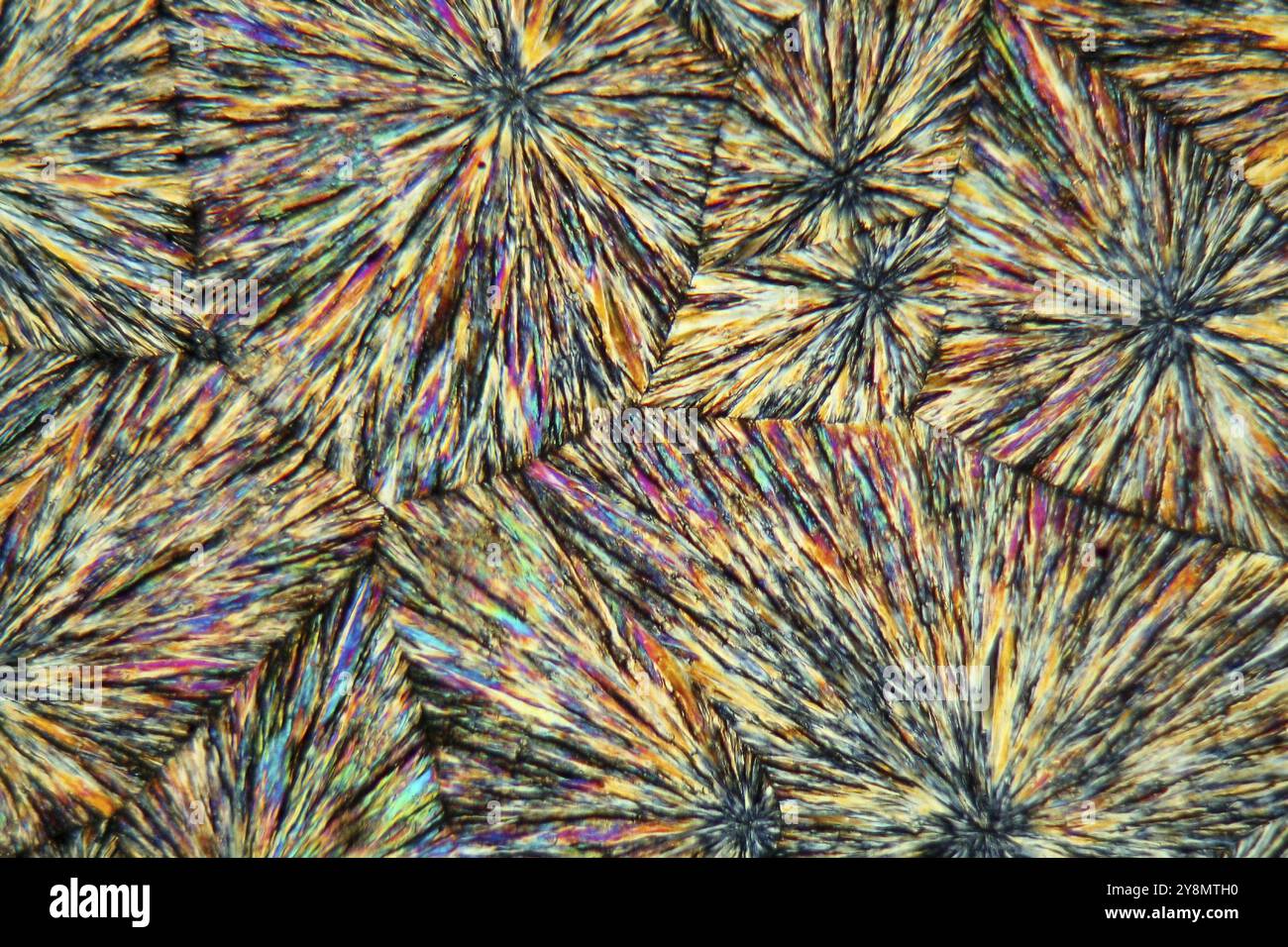 Crystals of metamizole under the microscope. The crystals are ...