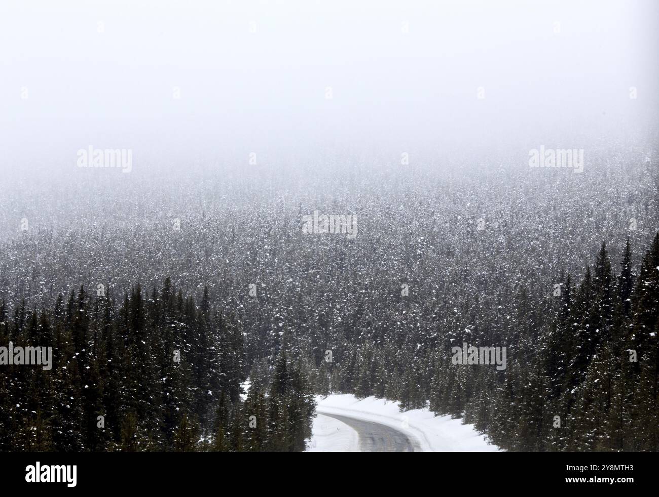 Snow Falling Mountains Road trans Canada Highway Stock Photo - Alamy