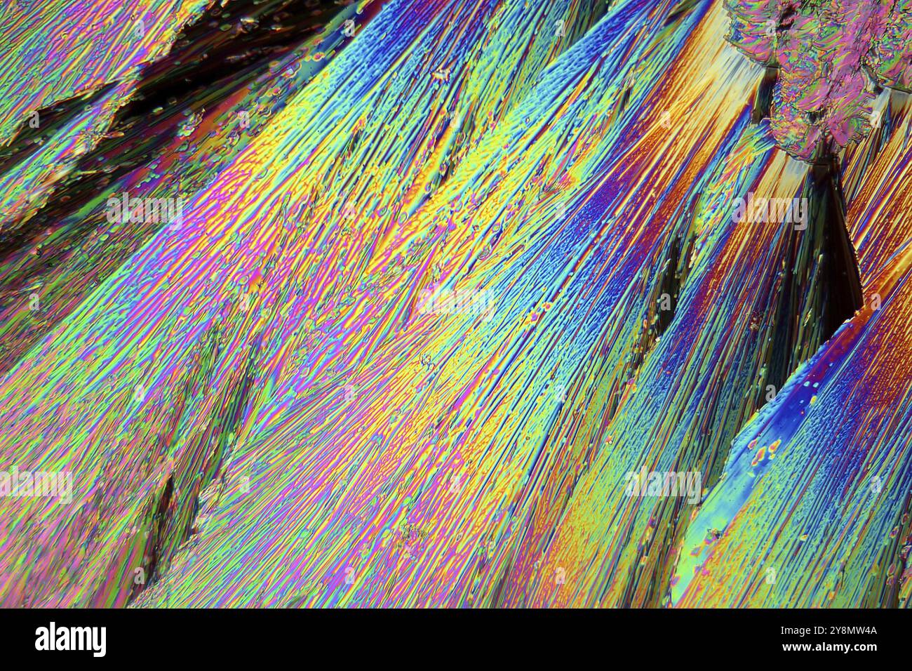 Lanthanum nitrate crystals under the microscope (100x magnification ...