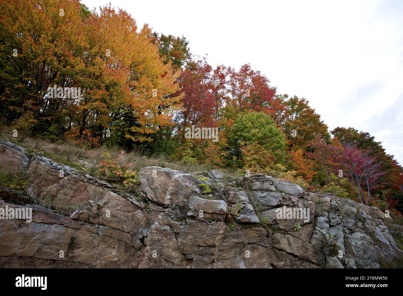 Algonquin Park Muskoka Ontario fall autumn colors Stock Photo - Alamy