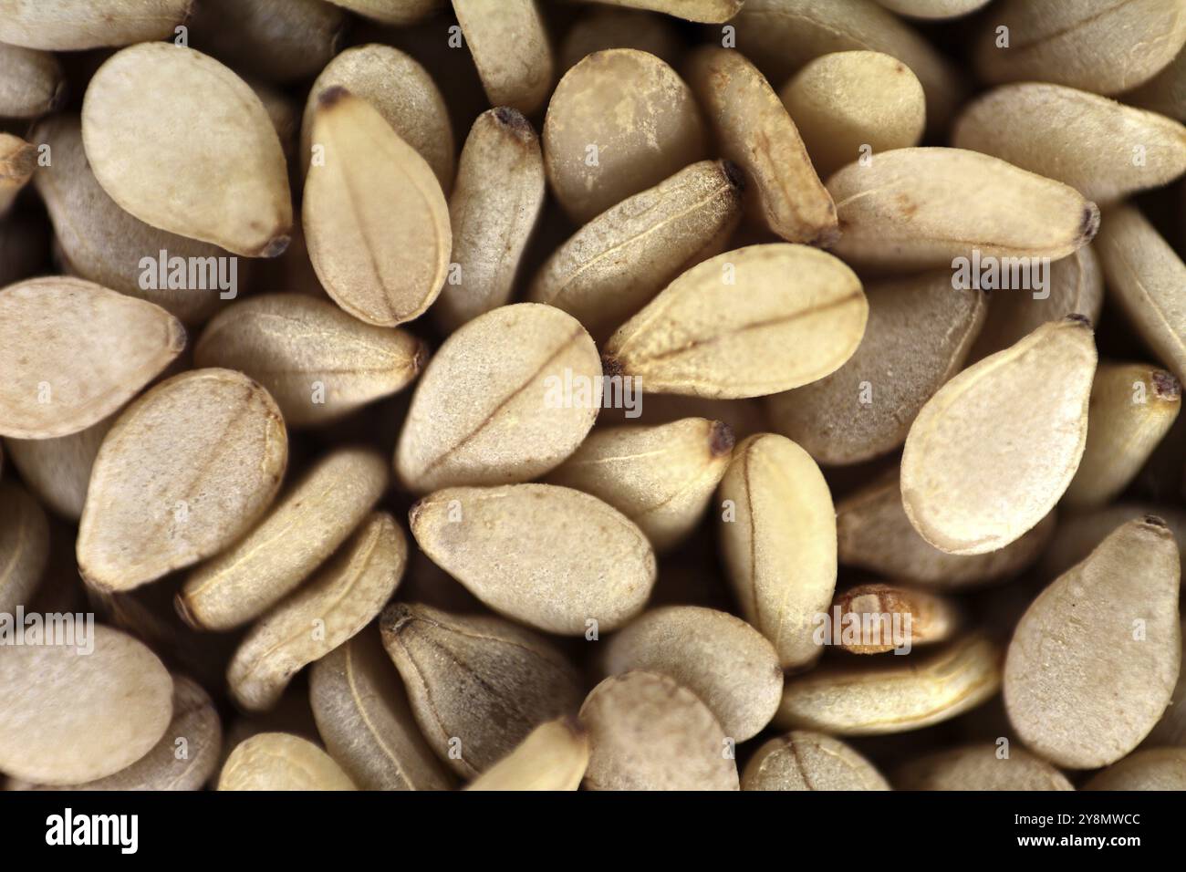 Detailed seeds hi-res stock photography and images - Alamy