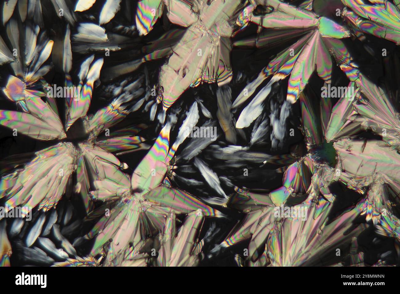 Malic acid under the microscope, Malic acid under the microscope ...