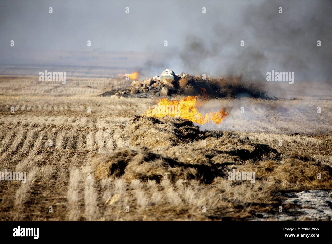 Prairie Stubble Burn in Saskatchewan Canada Stock Photo - Alamy