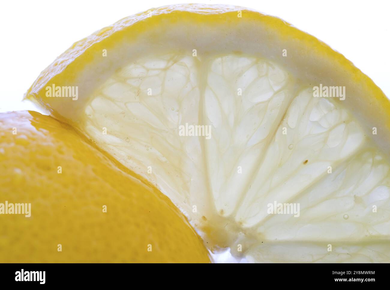 Close up shots of still life hi-res stock photography and images - Alamy