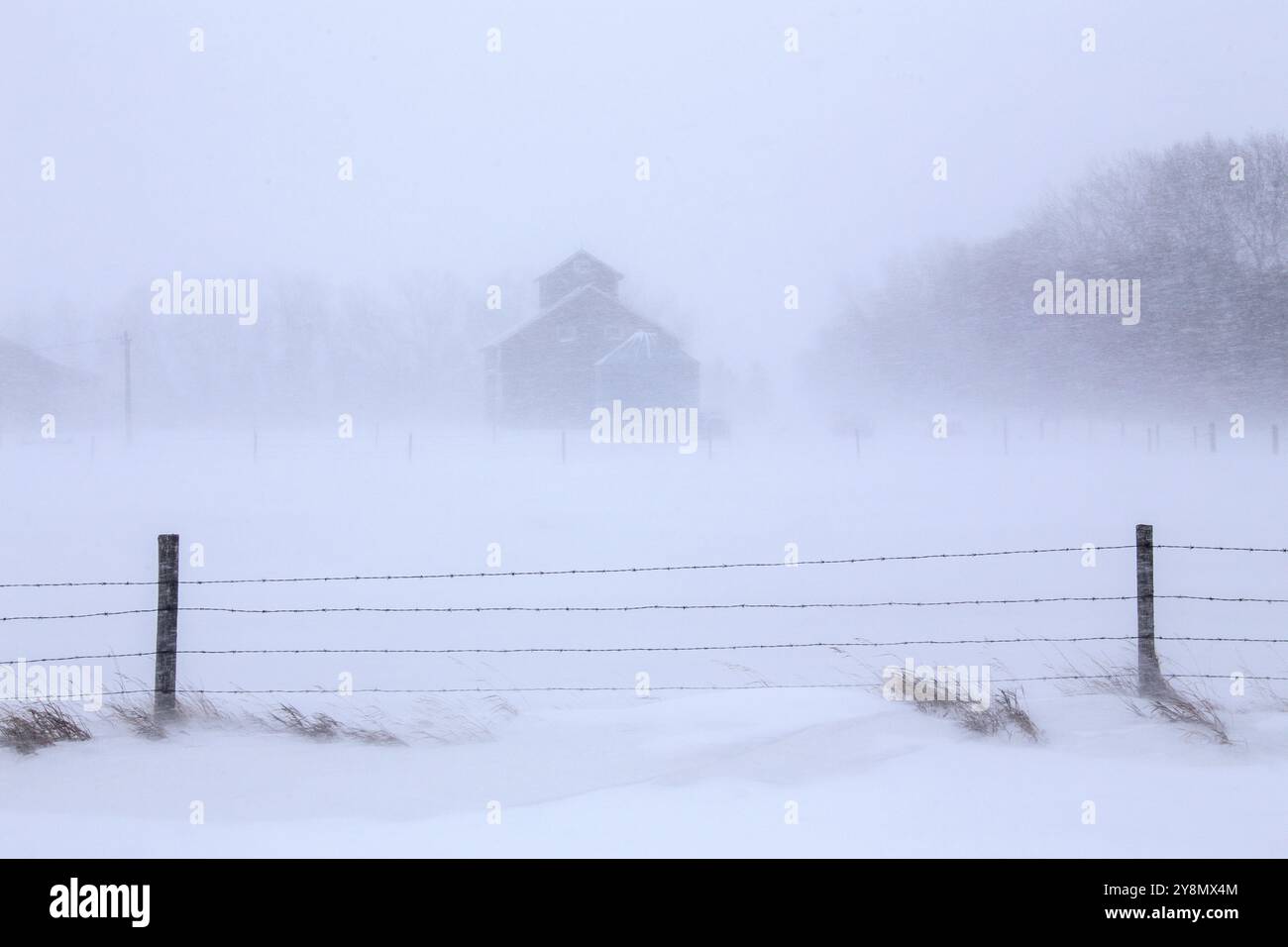 Blizzard [prairies winter storm] hi-res stock photography and images ...
